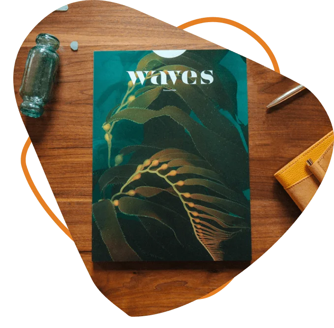 Custom Book Cover Design Services by Expert Designers